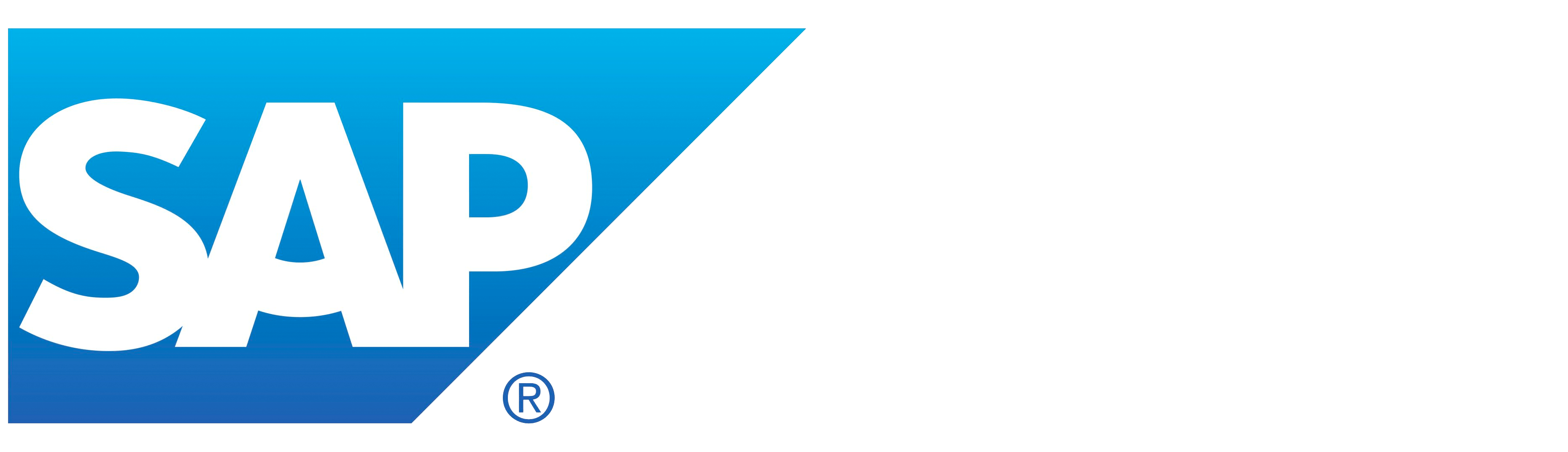 SAP – HMG Strategy – CIO & CISO Summits